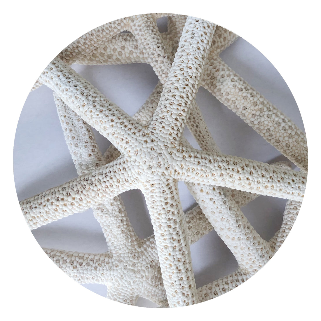 4 Large Bleached Starfish, 10-16cm – Resin Pepper