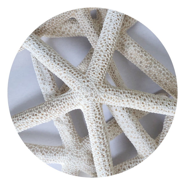 4 Large Bleached Starfish, 10-16cm – Resin Pepper